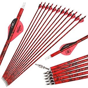 ZSHJGJR 30" Carbon Arrows Archery Hunting Arrows Spine 500 with Removable Tips Targeting Practice Arrows for Compound Recurve Bow (12, Red)