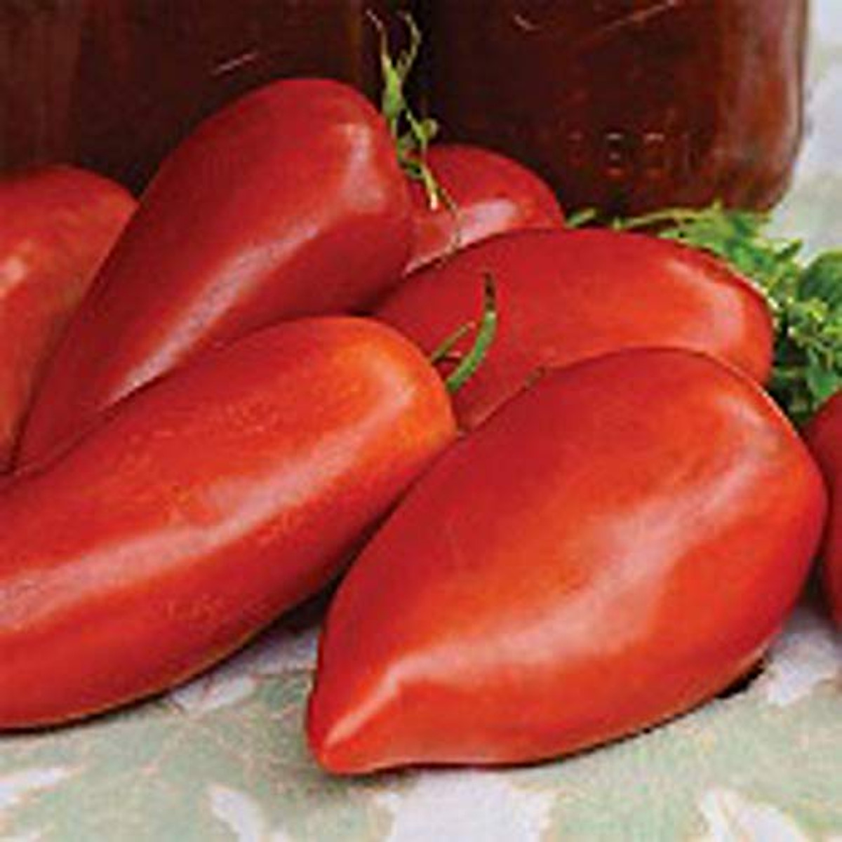 Jersey Devil Tomato Seeds (20+ Seeds) | Non GMO | Vegetable Fruit Herb Flower Seeds for Planting | Home Garden Greenhouse Pack