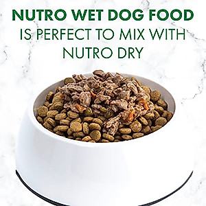 NUTRO HEARTY STEW Adult Natural Grain Free Wet Dog Food Cuts in Gravy Tender Chicken, Carrot & Pea Stew, 12.5 oz. Cans (Pack of 12)