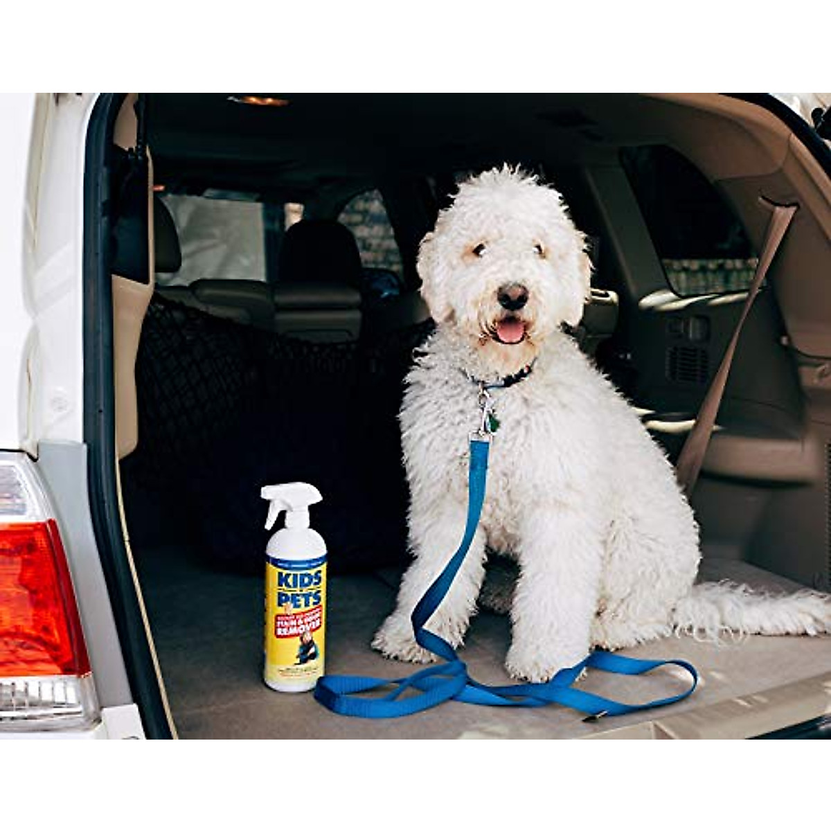 KIDS 'N' PETS - Instant All-Purpose Stain & Odor Remover – 27 fl oz - Permanently Eliminates Tough Stains & Odors – Even Urine Odors - No Harsh Chemicals, Non-Toxic & Child Safe, Multi-Color