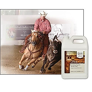 UltraCruz Equine Weight Gain Supplement for Horses, 1 Gallon, Liquid (32 Day Supply)