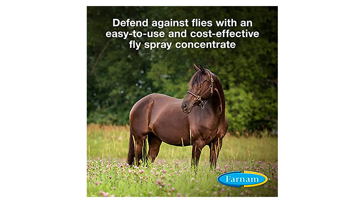 Farnam Repel-X Pe Concentrated Fly Spray for Horses - Easy Yard Pest ...