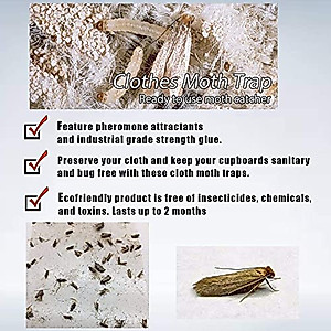 6 Pack – Powerful Pheromone Enhanced Moth Traps – Refillable Hanging Box - Odor-Free & Natural for Closet, Pantry, Kitchen