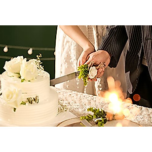 Joy Ceremony Wedding Cake Knife and Server Set, Rustic Cake Cutting and Serving Set - Bridal Cutter Set with Eucalyptus Leaves (White - 2'' Rose)