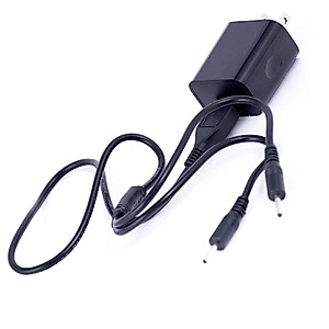 GoodBoy Extra Replacement Charger with Wall Adapter - Remote Training Collar Models - USB to Dual 2.0 mm Split Charger Cable