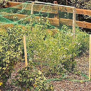 33 Ft x 6.5 Ft Green Anti Bird Netting Garden Protection Mesh Net Reusable Protective Garden Netting for Plants Fruit Trees Against Birds,Deer and Other Animals,Netting Fence (33 x 6.5 ft)