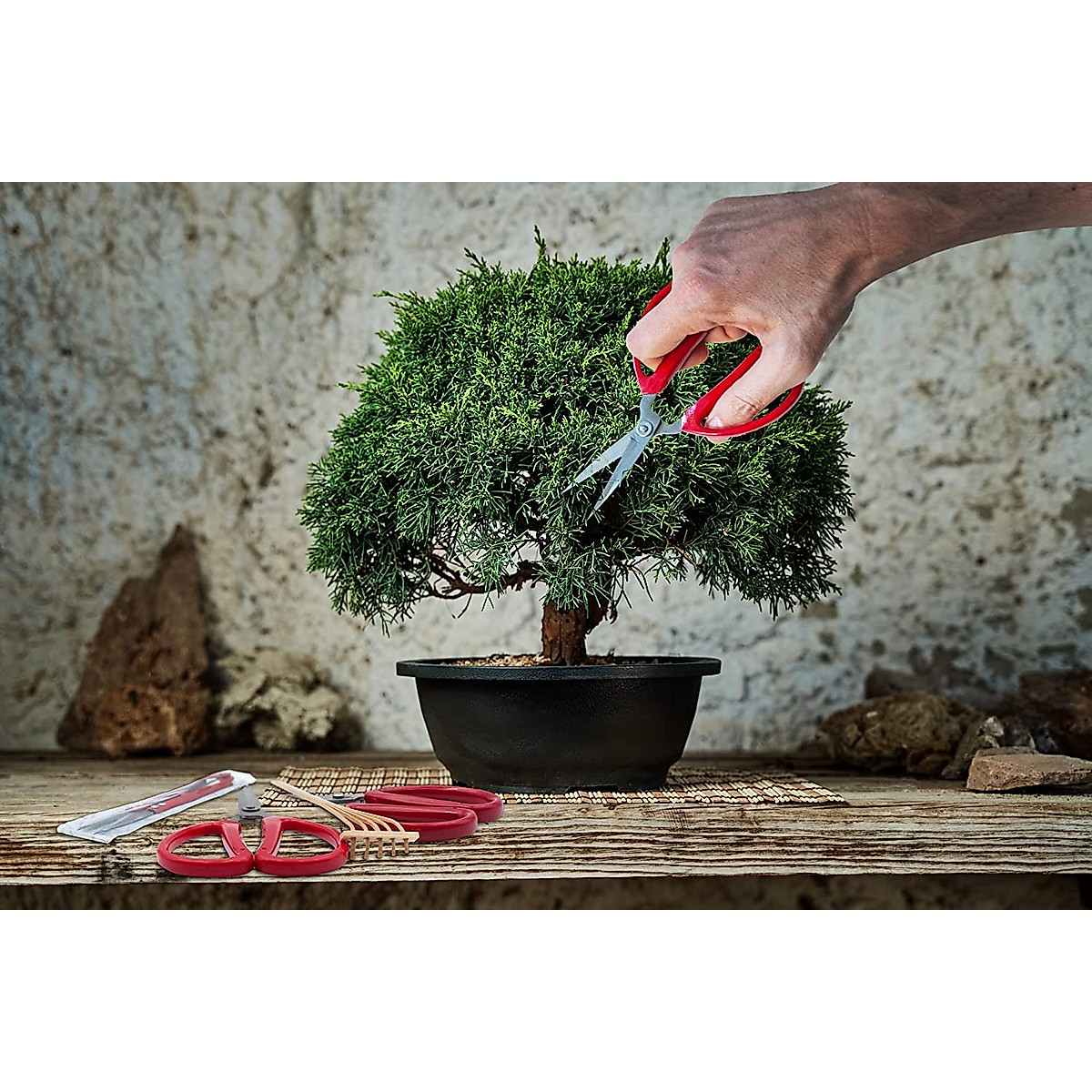 R&R SHOP Bonsai Precision Scissors Kit - Trimming, Bonsai Pruning, Precision Cuts and Small Branches and Roots, Bamboo Rakè - Set of 4