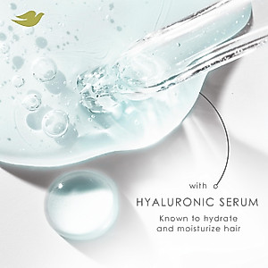 Dove Damage Therapy Shampoo Daily Moisture for Dry Hair with Bio-Protein Care Technology and Hyaluronic Serum 12 Fl Oz