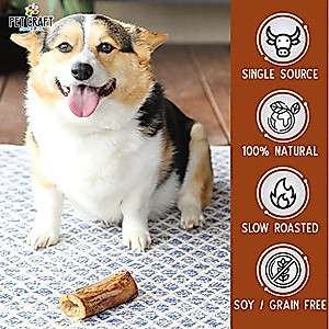 Pet Craft Supply All Natural Healthy Meaty Beef Marrow Bones Dog Chews Treats for Aggressive Chewers Long Lasting Rawhide Free Made in USA Premium Slow Roasted for Puppies Small Medium Dogs 3 Pack
