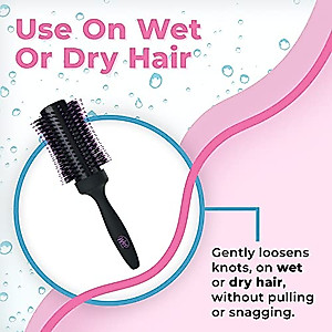 Wet Brush Volume & Body Round Brush for Fine to Medium Hair - Volumizing Salon Blow-Out with Less Pain, Effort & Breakage - Professional & Lightweight Natural Boar Bristle Detangles and Removes Knots