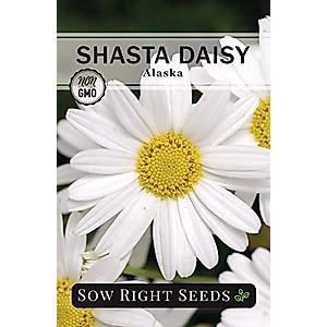 Sow Right Seeds - Daisy Flower Seed Collection for Planting - Attract Pollinators - Beautiful Annual and Perennial Flowers to Plant in Your Home Garden - Non-GMO Heirloom Seeds - Great Gardening Gift