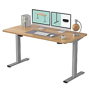 FLEXISPOT EC1 Height Adjustable Desk 55 x 28 inch Electric Standing Desk Whole-Piece Desk Board Stand Up Desk for Home Office (Gray Frame + 55" Natural Top)