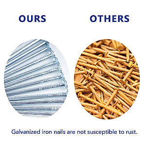 Coceca 200 Pack Hardware Nails for Hanging Pictures, 4 Size Zinc Tiny Nail Assorted Kit, Picture Nail, Small Nails, Finishing Nail, Wall Nails and Galvanized Nails for Wood