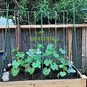 Garden Stakes,Connectable Plant Support Stakes,BOVITRO 40Pcs Steel Plant Stakes with 20 Connectors[16 Inches Each-Adjust Length Freely]