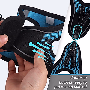 YIMEIS Dog Harness (XS, Blue) for Small Dogs, Lightweight Harness & Leash Set, Adjustable, Reflective, Breathable, 360°Visibility, Playful Style