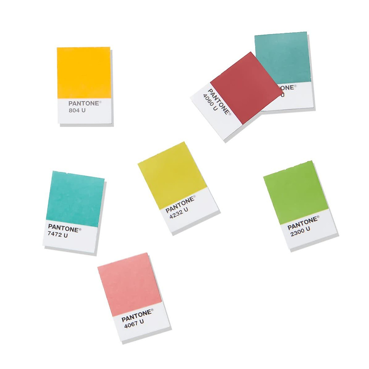 Pantone Solid Chips Coated & Uncoated | Shareable & Versatile Spot Color Chips for Graphics and Prints | GP1606B