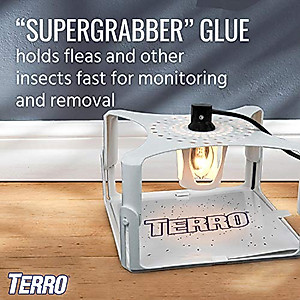 TERRO T231 Flea Trap Refills - Replacement Flea Trap Glue Boards - 3 Pack