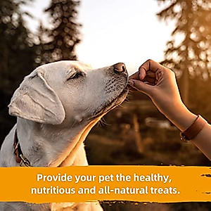 Jungle Calling Dog Treats Chicken Jerky Training Treats, Slow Roasted Snacks for Medium and Large Dogs Chewy Treats 10.6Ounce (Chicken Fillet)