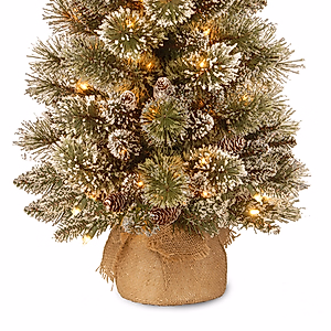 National Tree Company Pre-lit Artificial Mini Christmas Tree | Includes Small White LED Lights, White Tipped Cones, Glitter Branches Pine Cones and Cloth Bag Base | Glittery Bristle Pine - 3 ft