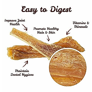 Downtown Pet Supply USA Sourced 4-7" Junior, 25 Pack Beef Tendons for Dogs - Rawhide Free Dog Chews Long Lasting and Non-Splintering - Single Ingredient, Nutrient-Rich Tendon Chews for Dogs