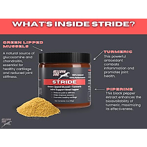 Homescape World Stride by Helluva Dog — Joint Support Meal Topper for Active Sporting Dogs — Green Lipped Mussel & Turmeric Powder for Mobility & Recovery 4oz