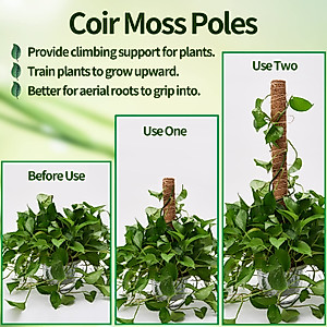 Eibikdi 6 Pcs Moss Pole Extending to 68 Inches for Plants Monstera, Plant Support Stakes for Indoor Climbing Plants Grow Upwards, with 65ft Twist Ties, 13ft Jute Rope, 6.5ft Hook-and-Loop Strip