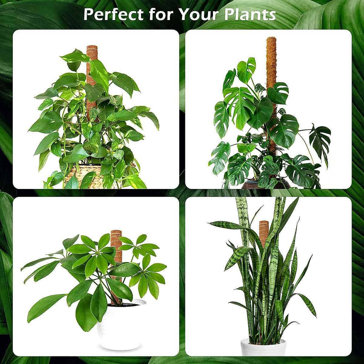 HongWay 77 Inch Moss Pole for Plant Monstera, 6 Pack 17 Inch Moss Plant Support, Monstera Support, Plant Climbing Pole, Moss Plant Stake