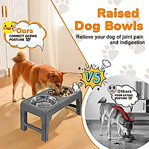 URPOWER Elevated Dog Bowls 4 Height Adjustable Raised Dog Bowl with 2 Stainless Steel Dog Food Bowls Non-Slip Dog Bowl Stand Adjusts to 3.2”, 8.7”, 10.2”, 11.8” for Small Medium Large Dogs and Pets