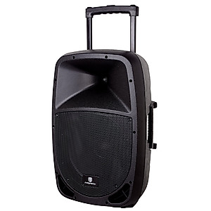 PRORECK Freedom 15 Portable 15-Inch 800 Watt 2-Way Rechargeable Powered Dj/PA Speaker System with Bluetooth/USB/SD Card Reader/FM Radio/Remote Control/Wireless Microphones/Speaker Stand