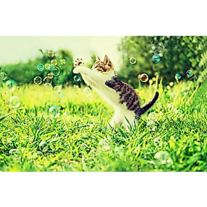 iwanga Catnip Bubbles Catnip Toys for Cats 4oz*2- Unbelievable Catnip Flavor Bubble for Cats -Non-Toxic Formula,Let The cat Chase Avoids Boredom & Keeps Pets Active.
