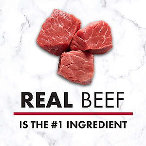 NUTRO NATURAL CHOICE Adult Dry Dog Food, Beef & Brown Rice Recipe Dog Kibble, 28 lb. Bag