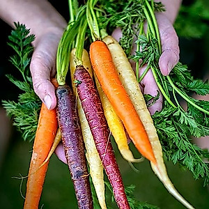 Serenity Kids 6+ Months Certified Organic Baby Food Pouches Veggie Puree | No Sugary Fruits or Added Sugar | Allergen Free | 3.5 Ounce BPA-Free Pouch | Garden Veggie Variety Pack | 6 Count