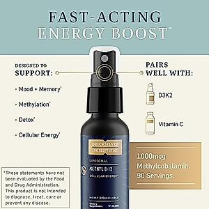 Quicksilver Scientific Methyl B12-1000mcg Vitamin B12 as Methylcobalamin (Methyl B12) - B12 Liquid with Nano Technology for Superior Absorption - Supportive Energy Supplement (30ml / 90 Servings)