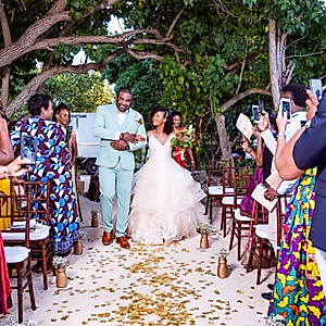 Neo LOONS 1000 Pcs Artificial Silk Rose Petals Decoration Wedding Party Color Gold