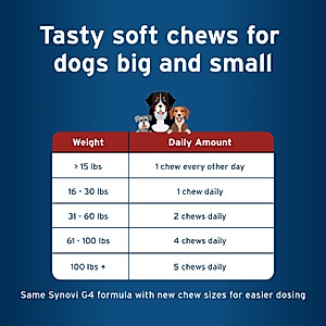 Pet Protect from The Makers of Advantage Vet-Formulated Hip & Joint+ Supplement for Dogs | 60 Chews