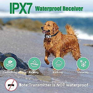 Paourify Wireless Dog Fence, 2-in-1 Electric Dog Fence System for 2 Dogs & Remote Training Shock Collar, Cover Up to 8 Acre(30-800ft) Portable Pets Containment System for Outdoor,Yard,Camping