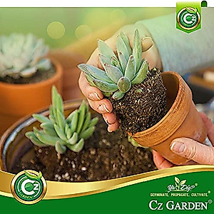 Organic Cactus & Succulent Mix - Made in USA with Premium Grade Ingredients - Coco Peat Humus • Perlite • Sand • Horticultural Charcoal to Filter Toxins and Improve Plant Growth