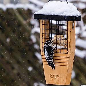 Nature's Way Cwf1 Suet Cedar BRD Feedr