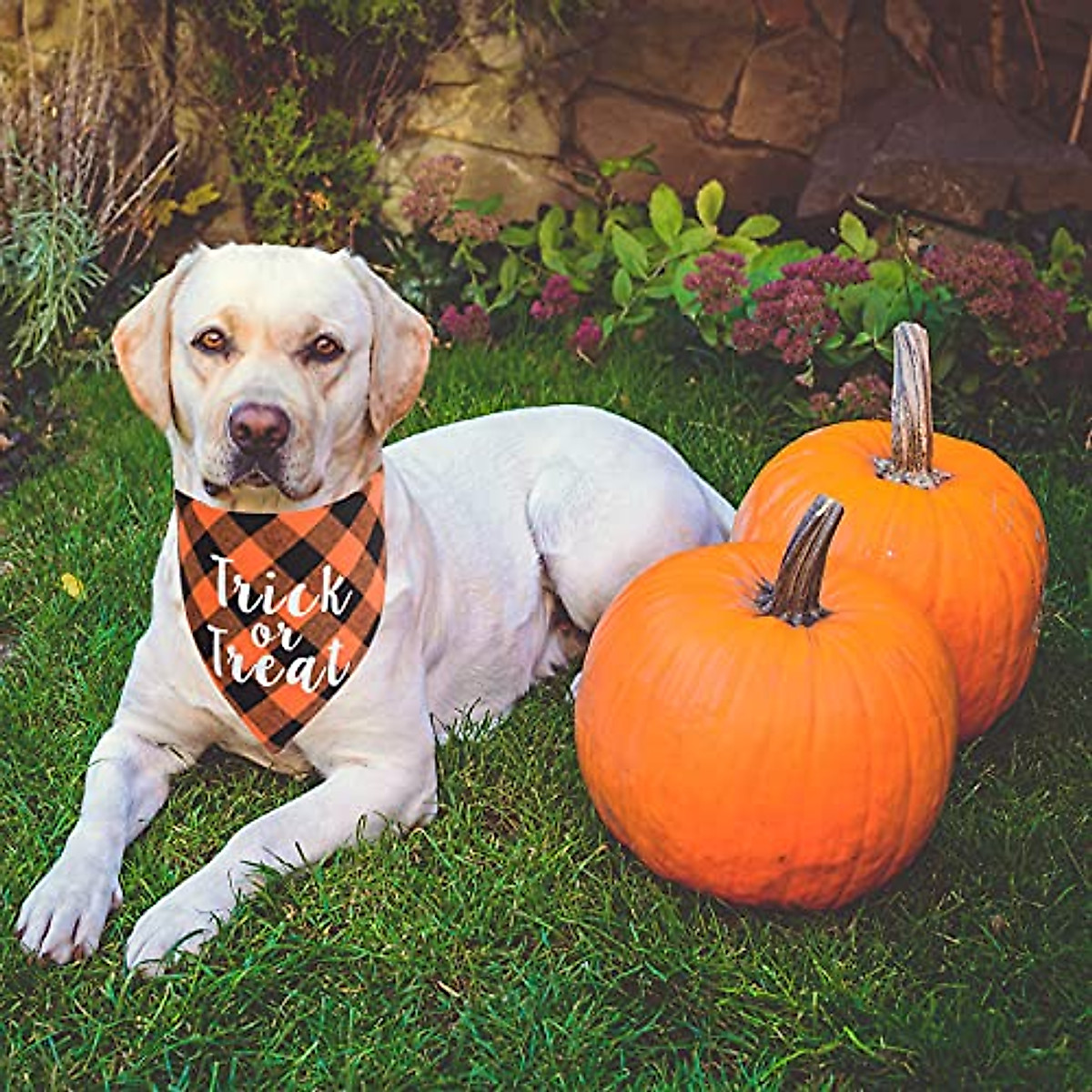 Halloween Thanksgiving Dog Bandanas Fall Dog Puppy Bandana Plaid Reversible Dog Triangle Bibs Scarf Accessories for Dogs Pets