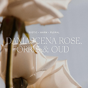 Antica Farmacista Damascena Rose, Orris and Oud Room and Linen Spray, 3.4 Fl Oz