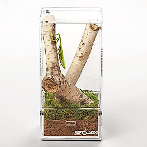 REPTI ZOO Acrylic Reptile Terrarium, Full View Acrylic Reptile Tank Breeding Box, 4" x 4" x 8" Sliding Door Insect Feeder Box for Small Reptiles and Invertebrates, Mantis, Spider, Cricket, Tarantula