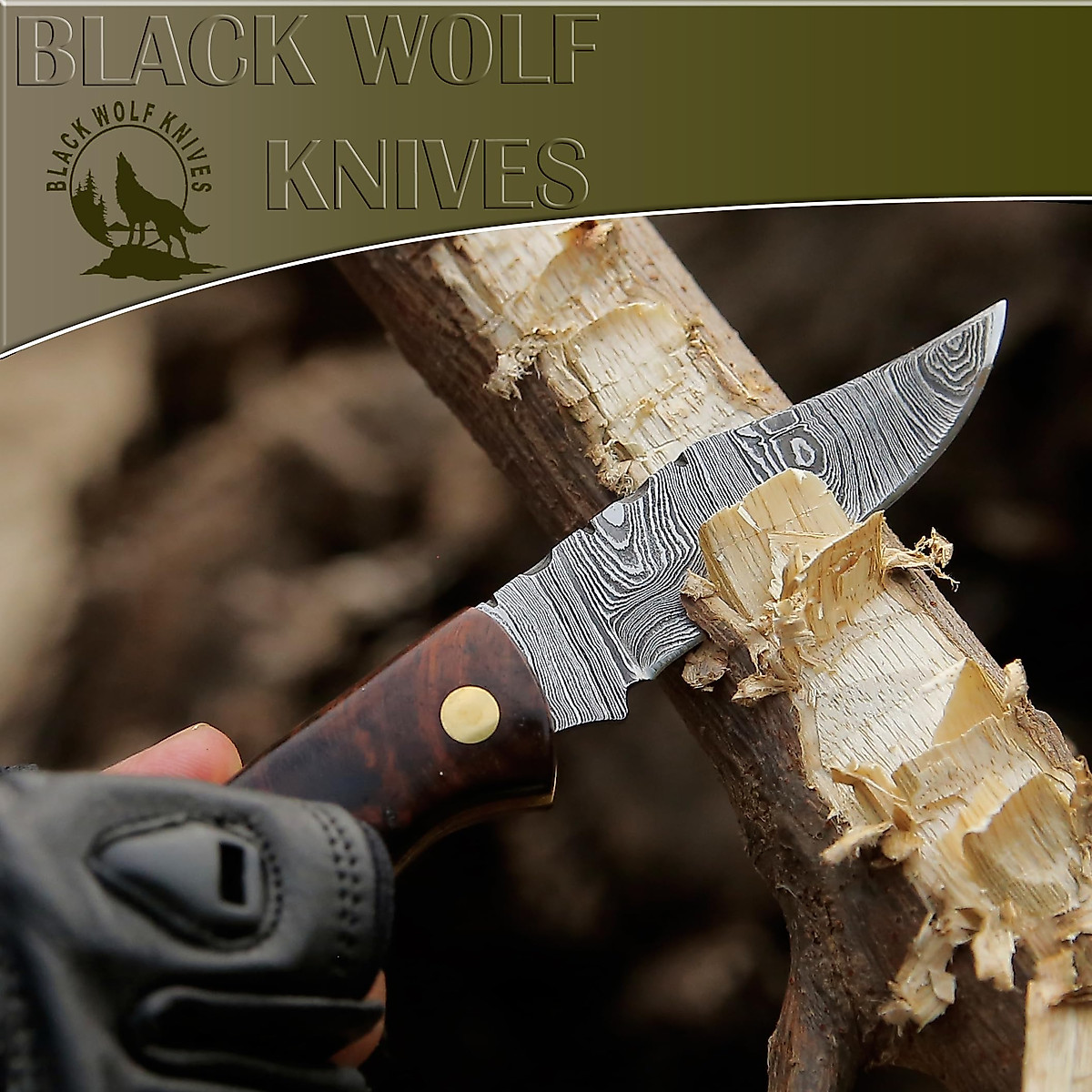 Back Lock Handmade Folding knifeBack Lock Pocket knife Damascus Steel Blade Back Lock Camel Bone Handle Leather Sheath BW-5173