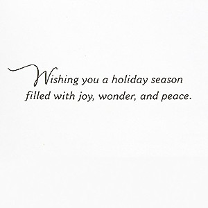 Hallmark UNICEF Boxed Christmas Cards, Peaceful Holly Tree (20 Cards and 21 Envelopes) (1XPX2032)