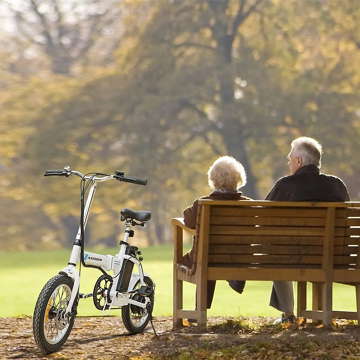 ANCHEER 16 inch Folding Electric Bike for Adults - Single Speed up to 15.5 Mph eBike with Removable Battery Mileage 30 Miles, Dual Disc Braking, 3 Riding Modes (Black)