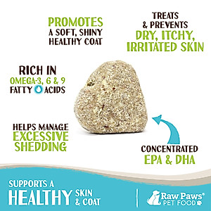 Raw Paws Skin & Coat Treats for Dogs, 10-oz/100-ct - USA Made - Coconut & Salmon Omega 3 Dog Treats, Soft Skin Chews - Dry Skin Dog Treats Support Healthy Dog Coat - Skin and Coat Supplement for Dogs