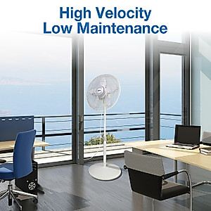 Air King 9119 18-Inch 3-Speed Commercial Grade Adjustable Oscillating Pedestal Fan, 1/20-Horsepower, White