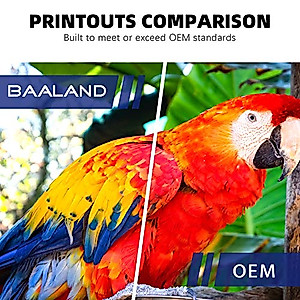 BAALAND Compatible Kodak Ink Cartridges 10B and 10C (3 Black, 3 Color) ESP 3250 Ink Use for Kodak Printer ESP3250 5100 5300 5500 ESP5250 ESP3 ESP5 ESP7 ESP9 Hero 7.1, 9.1