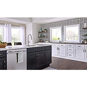 Draper 1H Kitchen Pull Down Kitchen Faucet w/SnapBack and Dockforce 1.75 gpm Stainless Steel