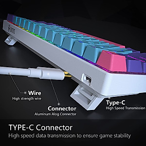 BOYI Wired 60% Mechanical Gaming Keyboard,Mini RGB Cherry MX Switch PBT Keycaps NKRO Programmable Type-C Keyboard for Gaming and Working (Joker-Color,Cherry MX Brown Switch)