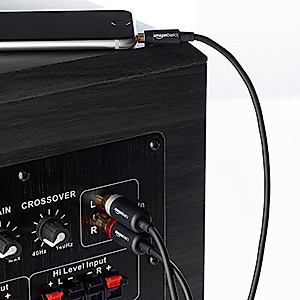 Amazon Basics 3.5mm to 2-Male RCA Adapter Audio Stereo Cable - 4 Feet